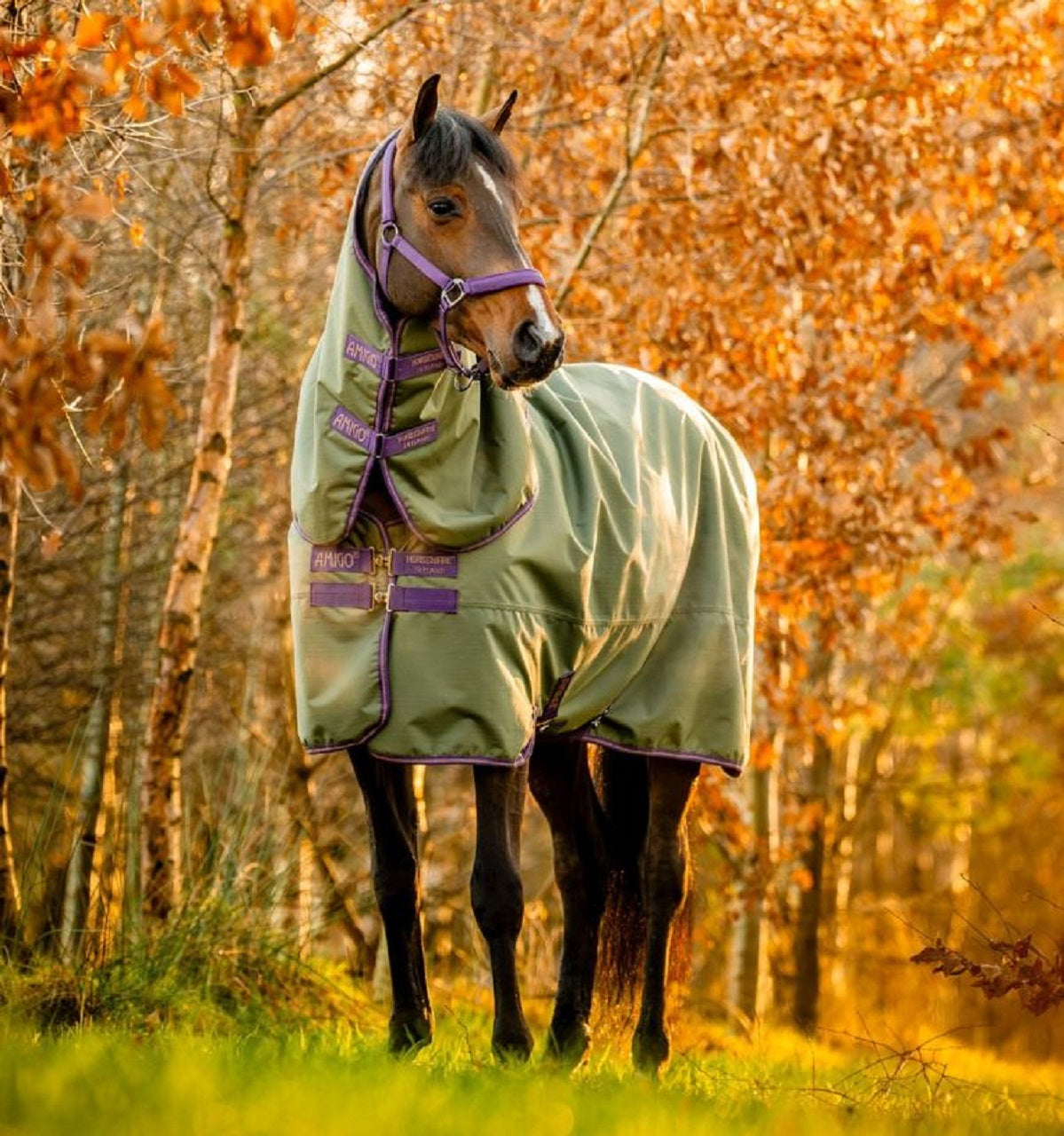 Amigo® Hero Ripstop Plus Turnout (0g Lite) – Saddles N' Stuff