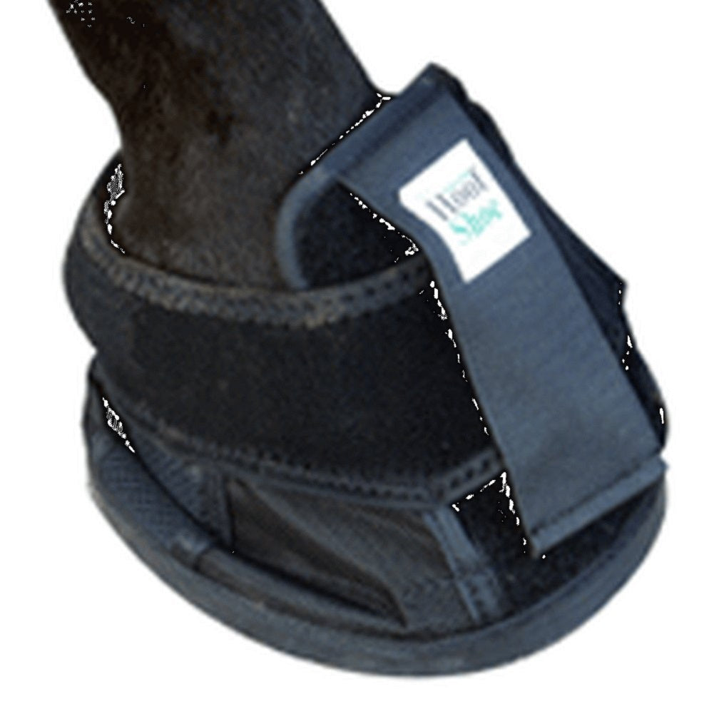 Intrepid International Penn Equine Natural Hoof Shoe – Saddles N' Stuff