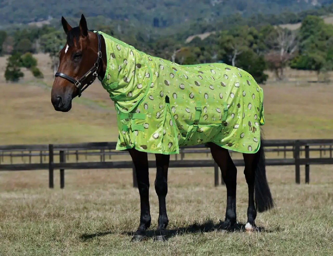 Saxon Mesh With Gusset Belly Wrap Combo Neck – Saddles N' Stuff